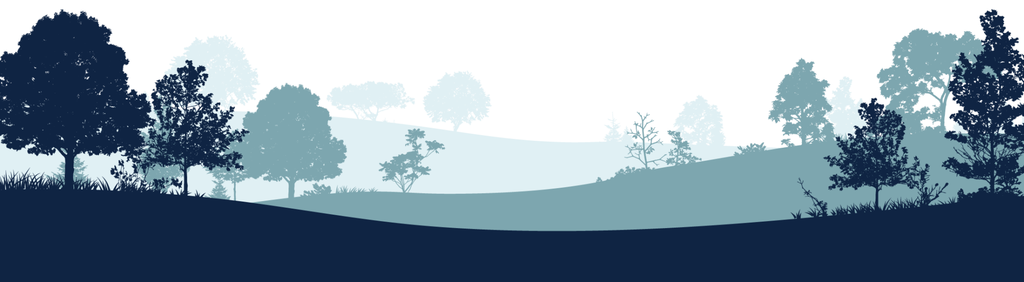 Cat Pulling Hair Out: Causes for This Behavior | Companion Animal ...